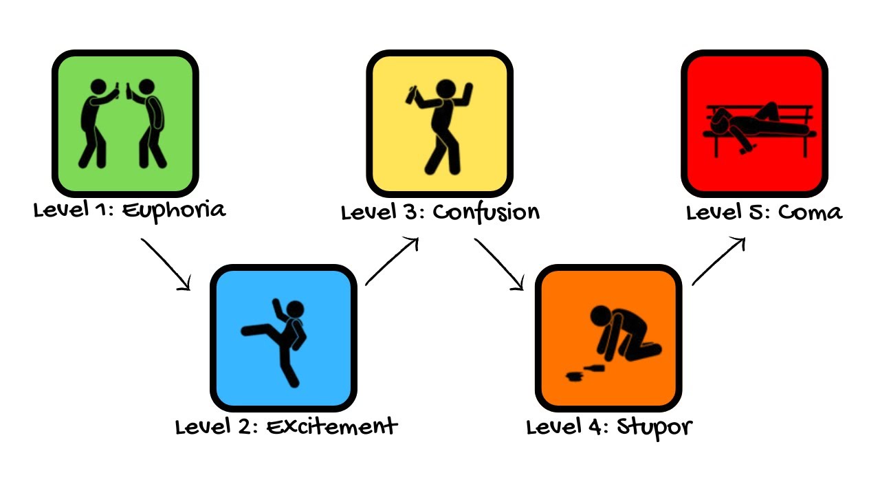 Levels Of Being Drunk Explained In 8 Minutes - YouTube