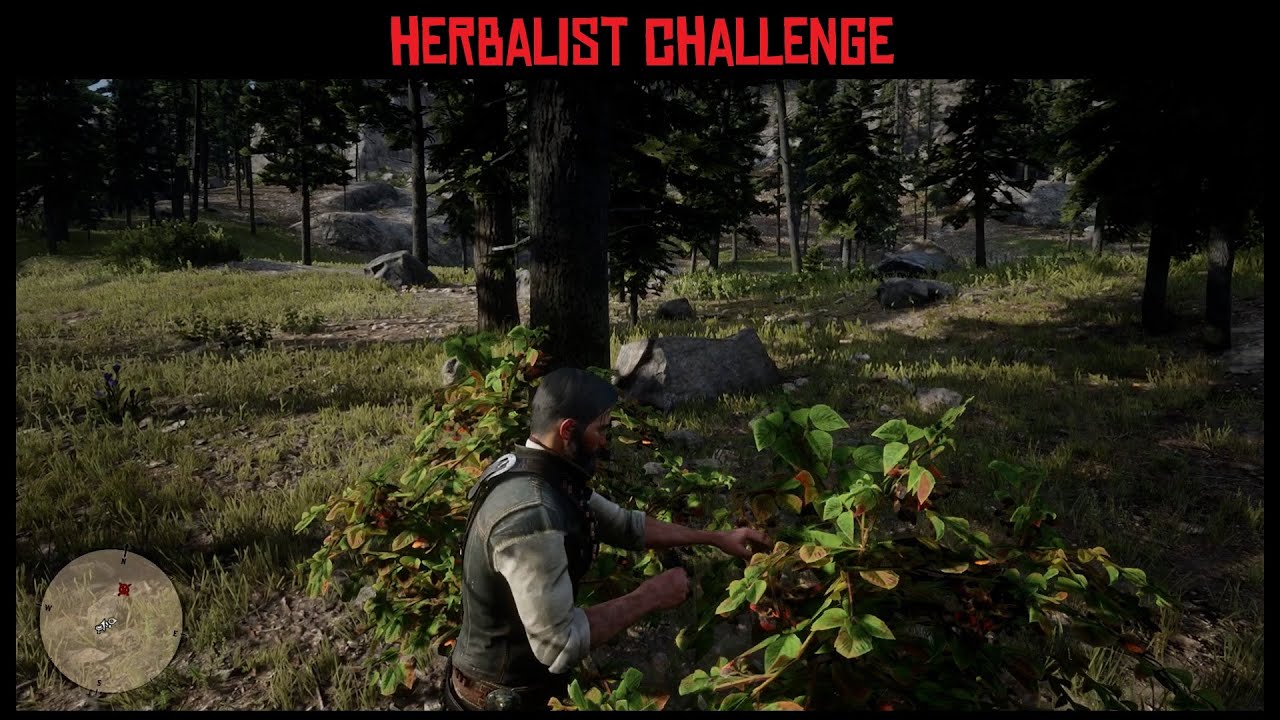 RDR2 100% Walkthrough. Herbalist Challenge - YouTube