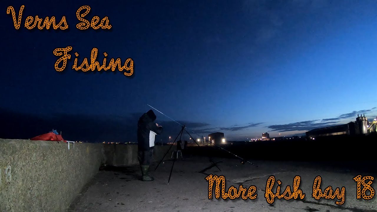 VERNS SEA FISHING | RIVER HUMBER LOTS OF FISH BAY 18 - YouTube