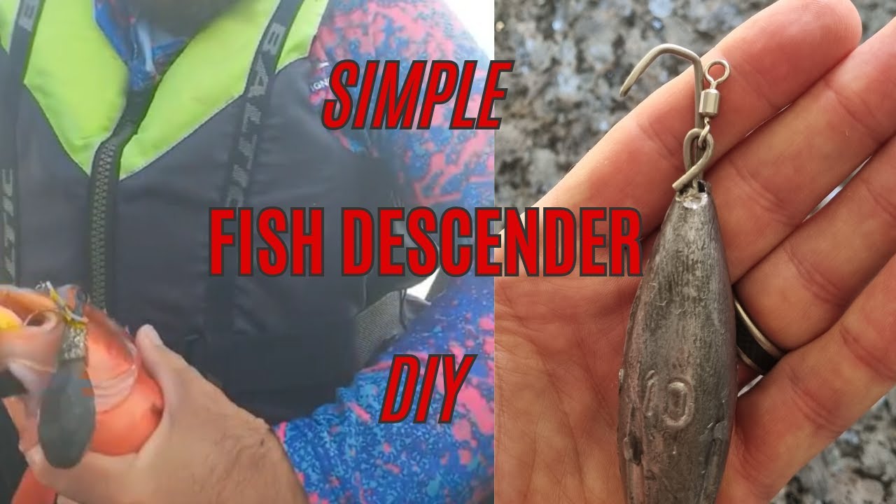 Fish Descender - Preserving the future - YouTube