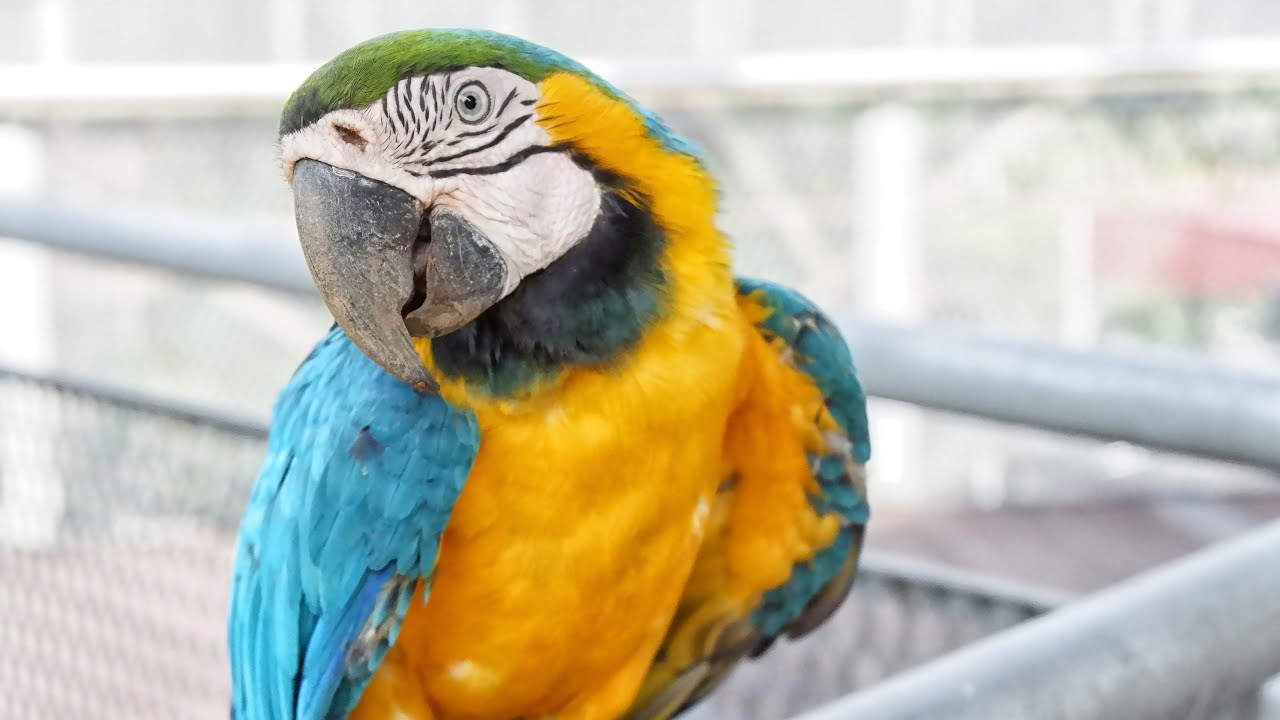 Fujifilm X A10 Sample Image