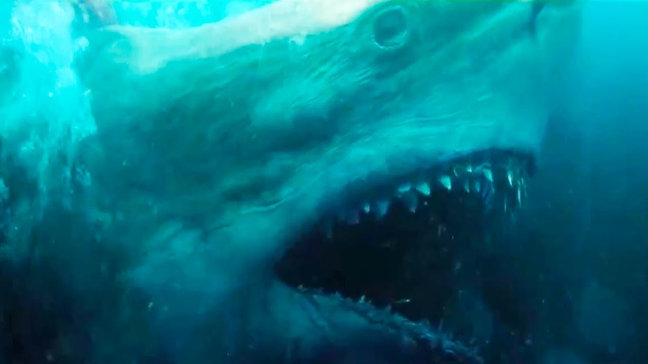 The Meg (2018) - Megalodon VS Shark Cage Scene! - Movieclip HD - YouTube