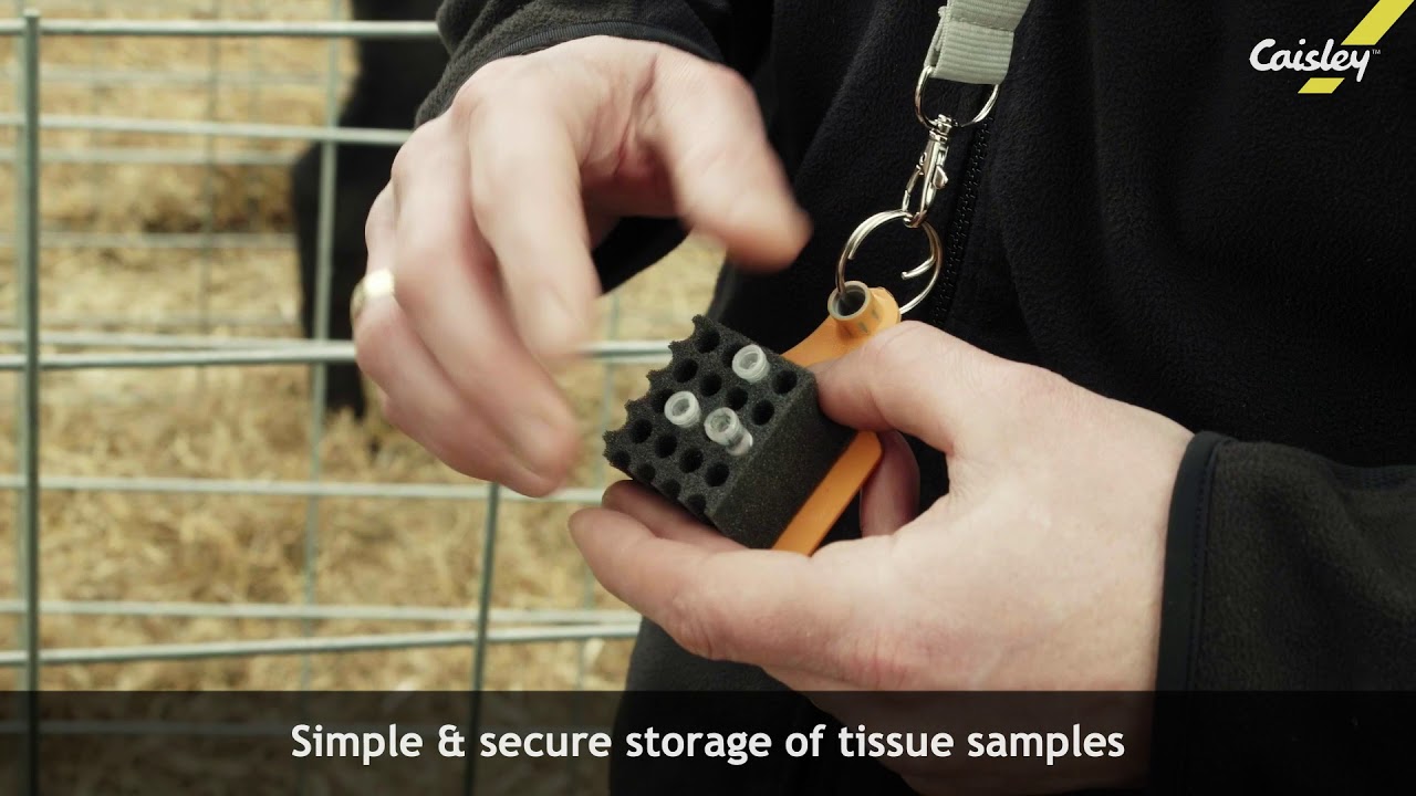 Caisley - Mini Sample Storage for BVD and DNA vials - YouTube