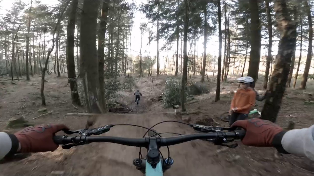 Puddletown Forest Sunday Edit - YouTube