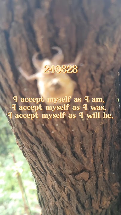 I accept myself as I am, I accept myself as I was, I accept myself as I ...