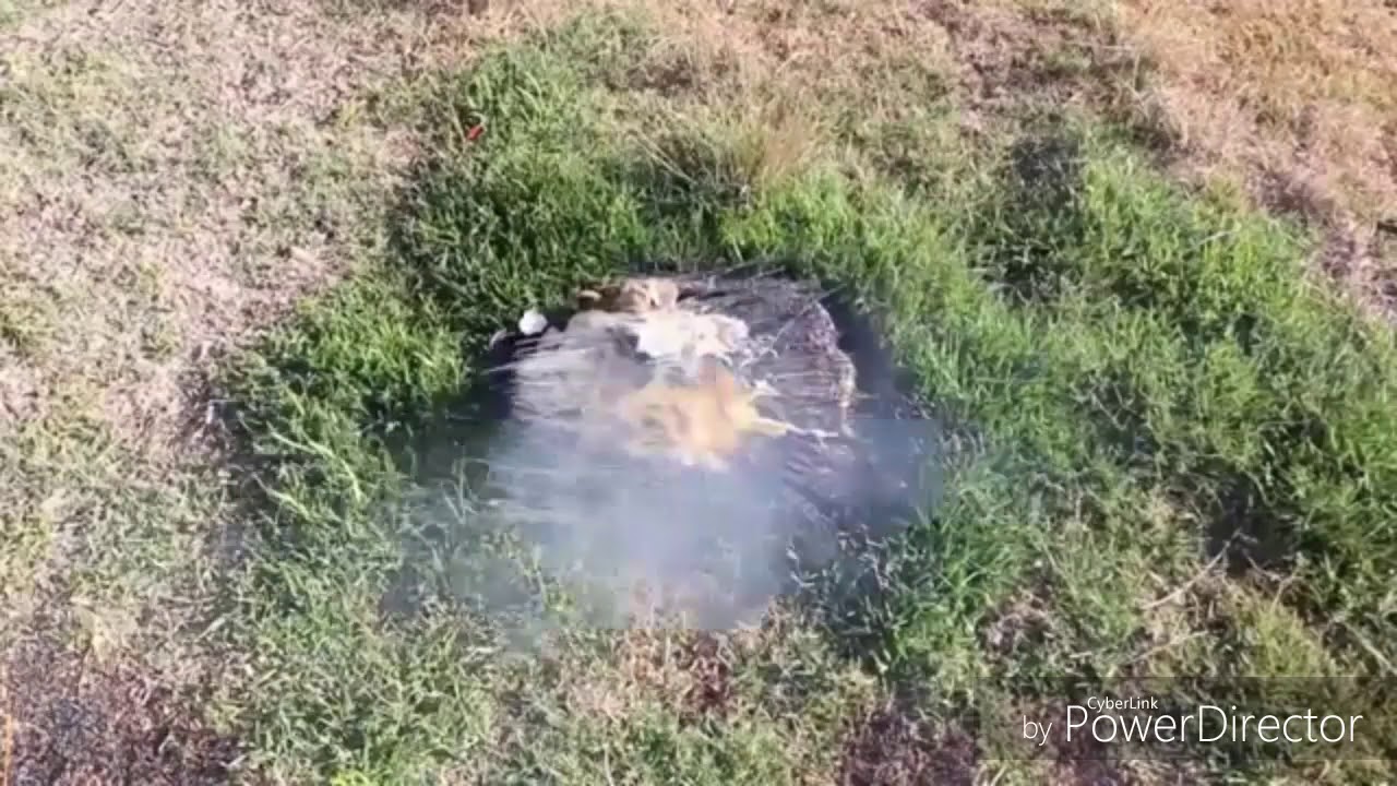 Best of HowToBasic egg throwing - YouTube