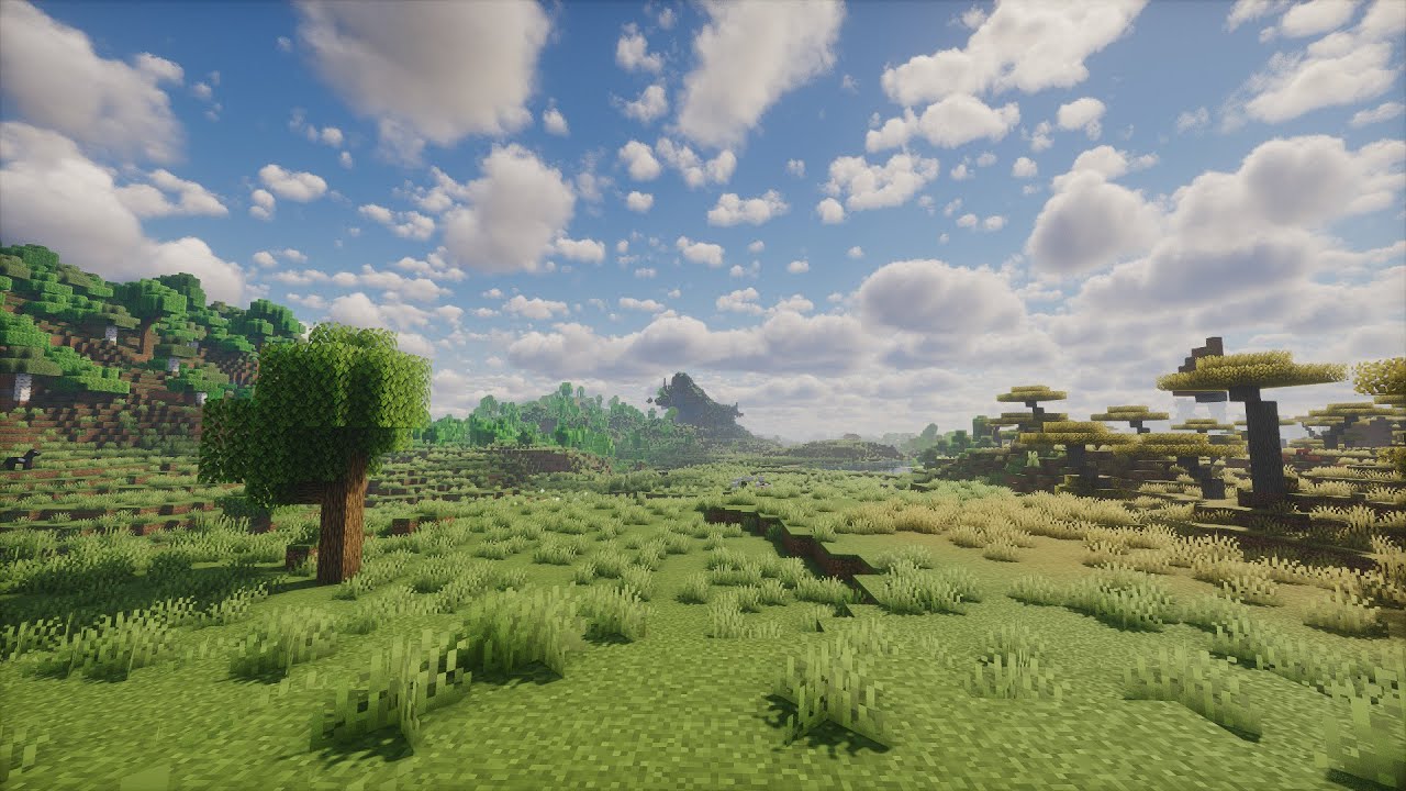 The Perfect Large Flat Land Seed - Minecraft Seeds 1.21.10 - YouTube
