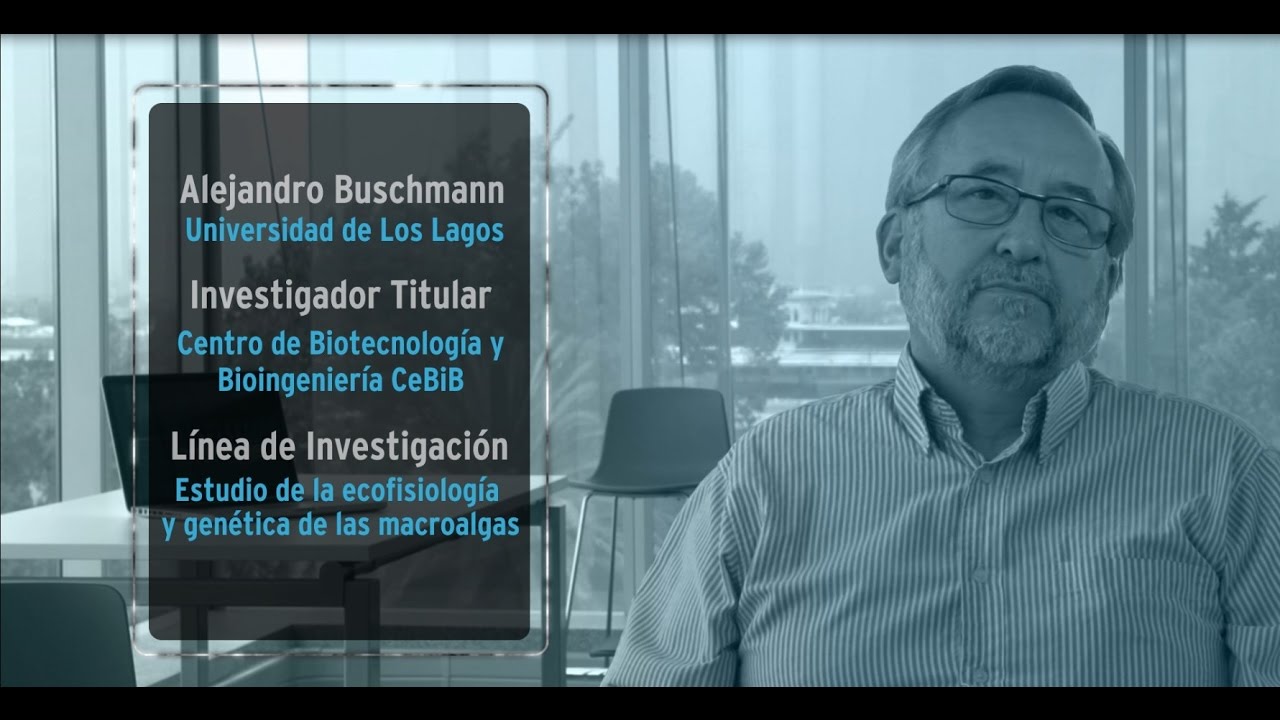 Dr. Alejandro Buschmann - Cápsulas de Ciencia 24 Horas TVN - YouTube