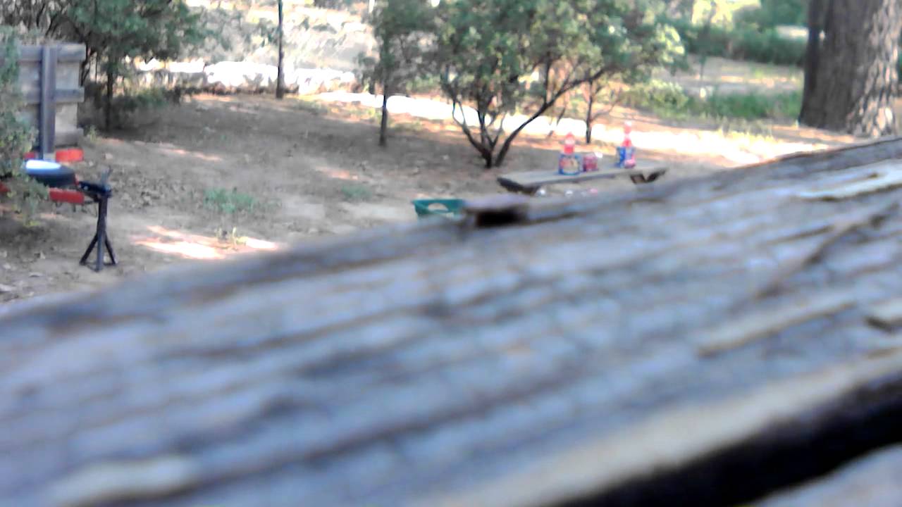 New and best Bibi gun bid ever - YouTube