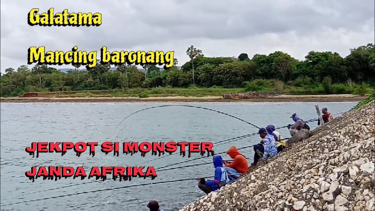 Galatama Mancing baronang || strike || Rabbitfish - YouTube