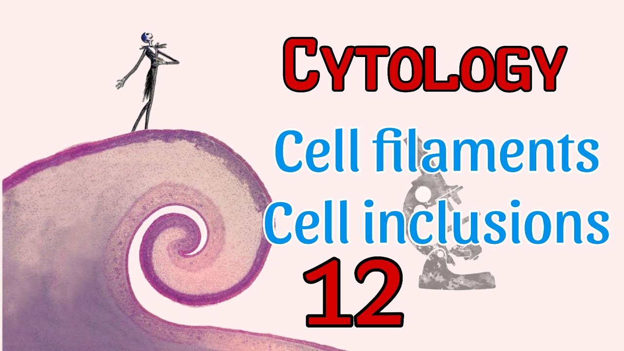 Cytology ll Cell filaments & cell inclusions - YouTube