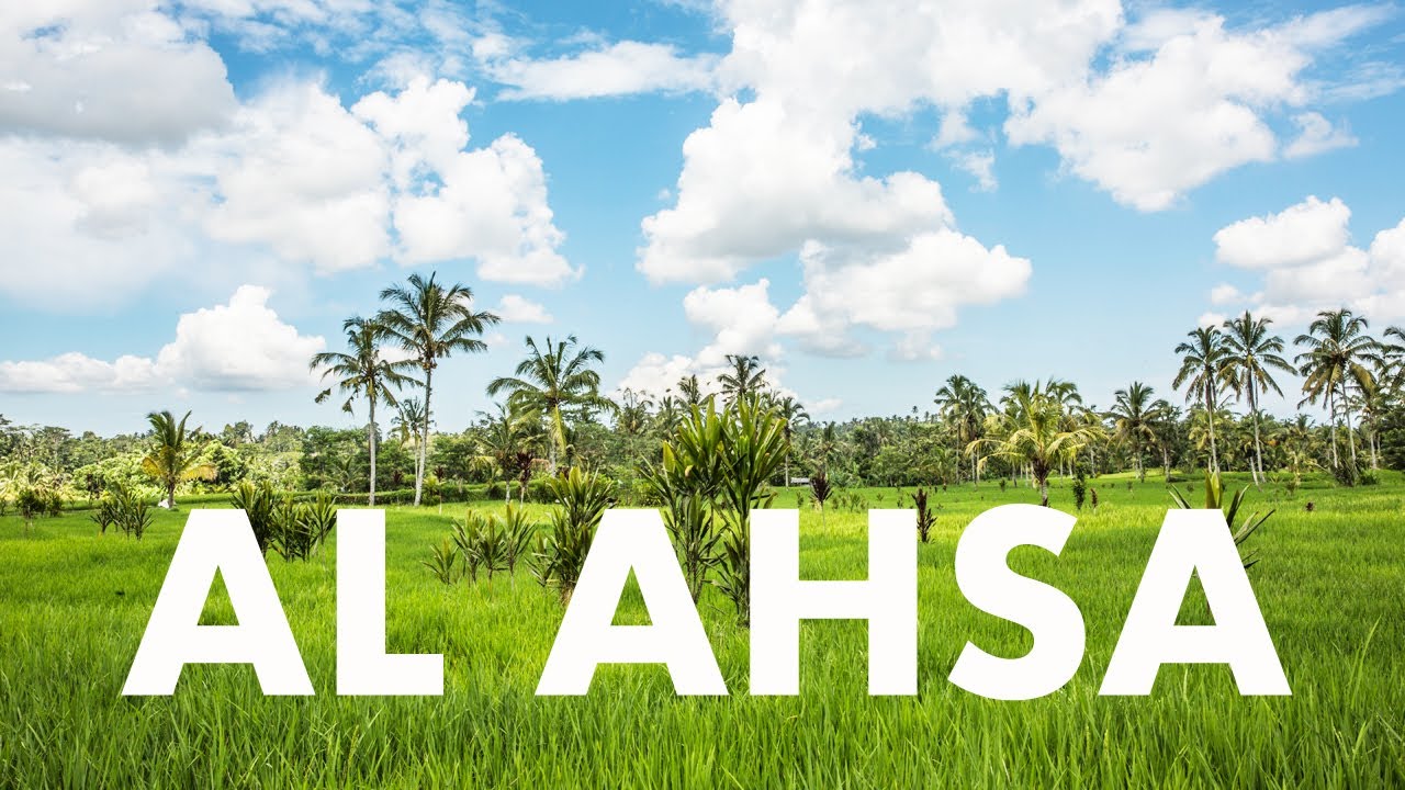 Attractions in Al Ahsa | الأحساء - YouTube