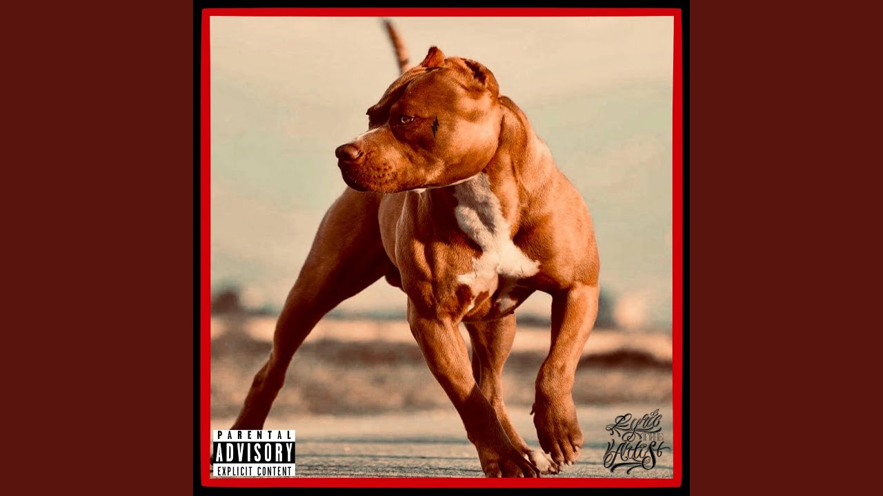 Mira Maria - YouTube