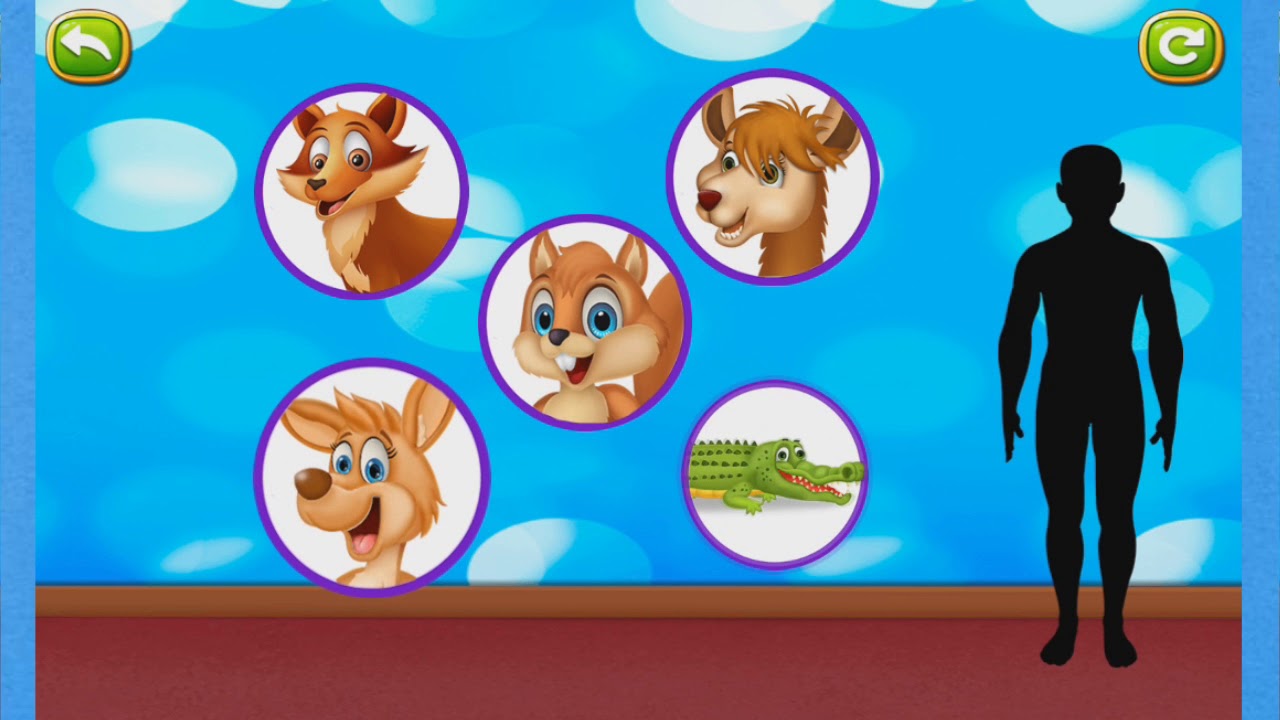 The Human Body for Kids | Learn about the Human Body for Children ...