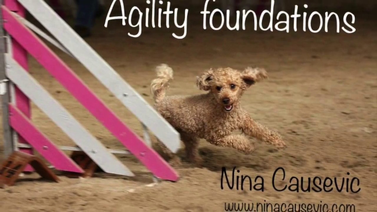 Agility foundations, motivation and speed - YouTube