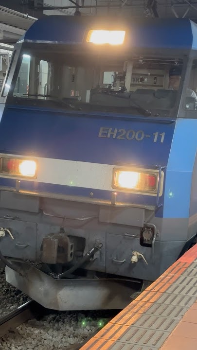 【貨物列車】EH200形電気機関車Blue Thunder 立川駅到着 #電気機関車 #貨物列車 #eh200 2024/10/26 00:05 #立川 - YouTube