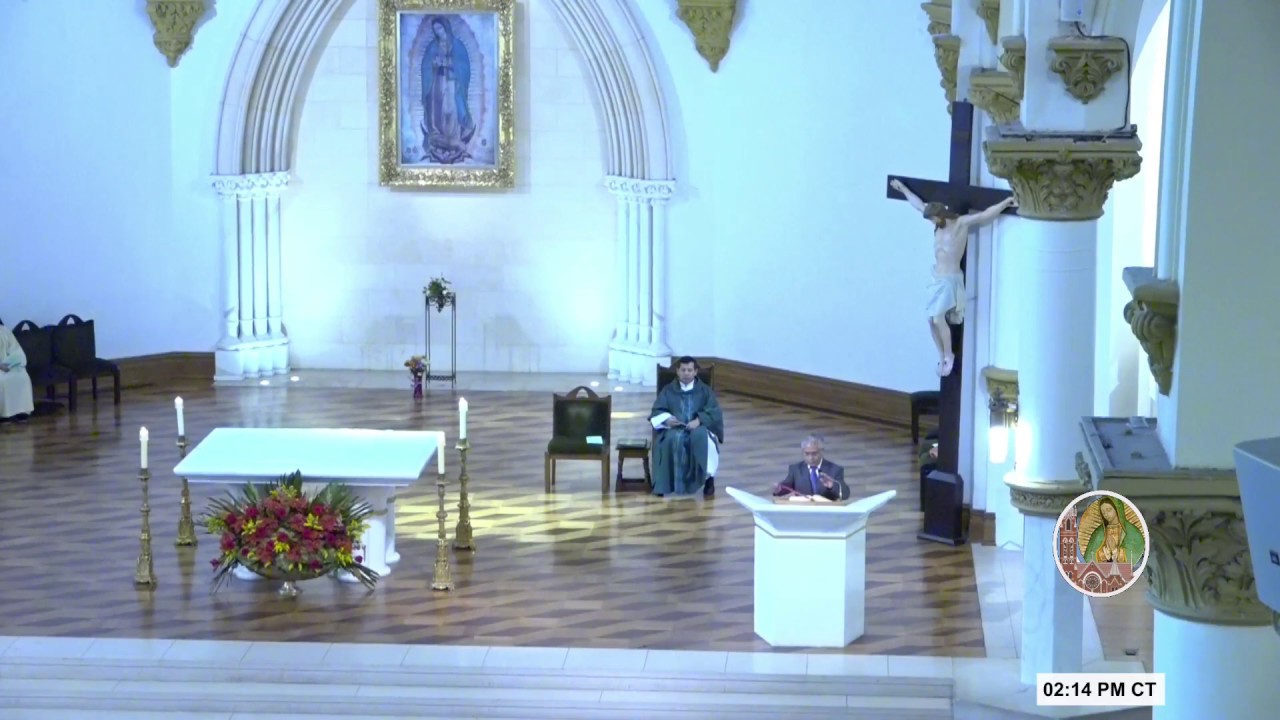 XXIV Domingo Ordinario - Ciclo C | Misa desde la Catedral de Dallas ...