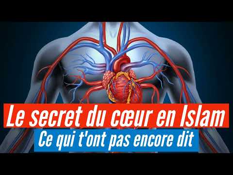 c'est quoi le cœur en Islam.#islam - YouTube