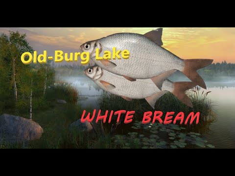 White Bream (Tahta Balığı) Old-Burg Lake (Eski Kasaba Gölü) Spot. Float ...