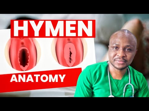 Anatomy of Hymen Virginity - Debunking Myths, Facts and Hymen in Women