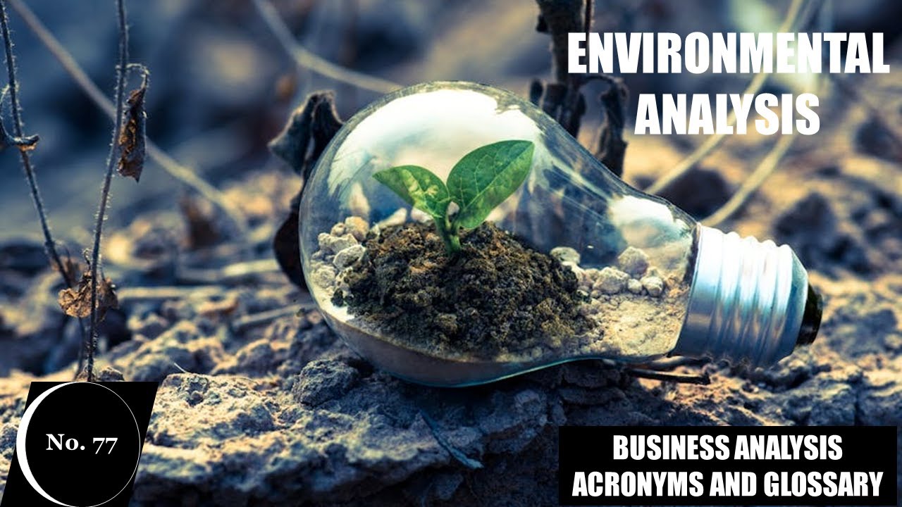 🌍🔍Environmental Analysis 📊Business Analysis Acronyms and Glossary |No ...
