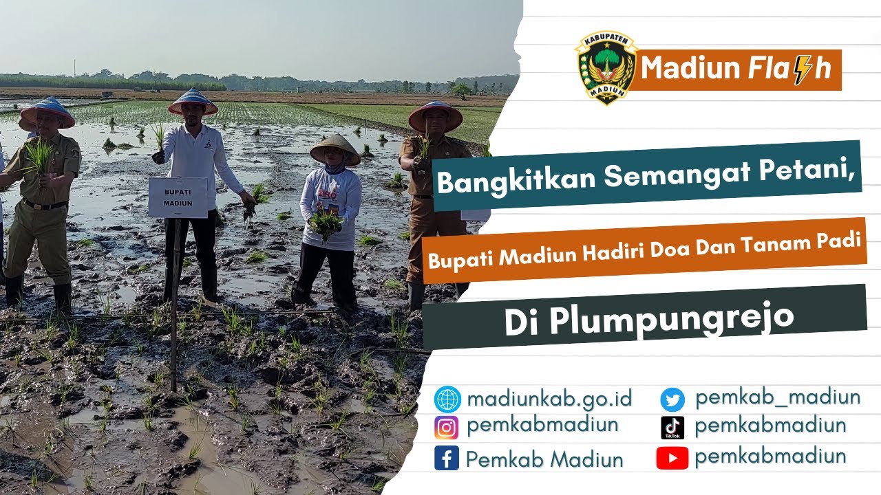 Bangkitkan Semangat Petani, Bupati Madiun Hadiri Doa Dan Tanam Padi Di ...
