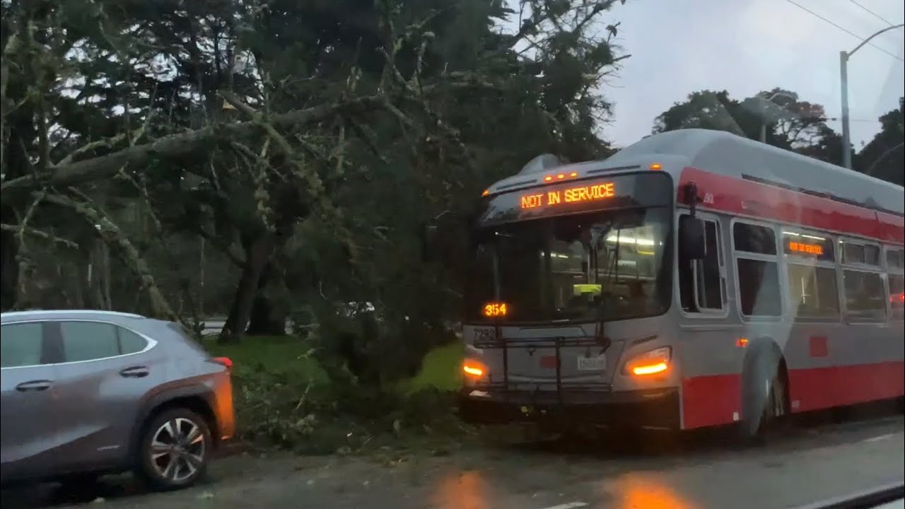Tree fell on MUNI XT60 7292 - YouTube