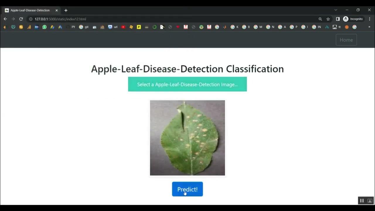 MLBF Net A Multi Lead Branch Fusion Network for Multi Class Arrhythmia Classification Using 12 ...