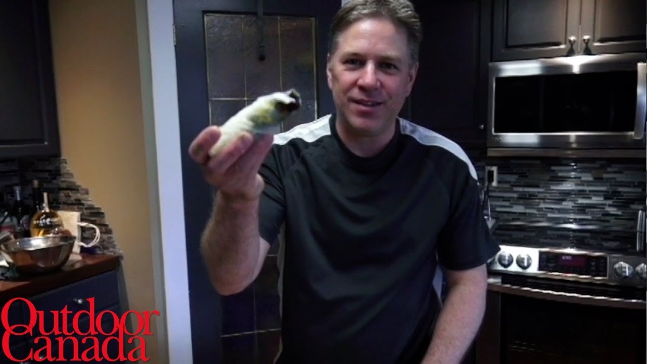 Wild Cuisine: How to make Vietnamese Perch Rolls - YouTube