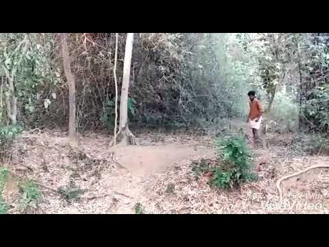 Ithinappuram chaadi kadannavana KK Joseph