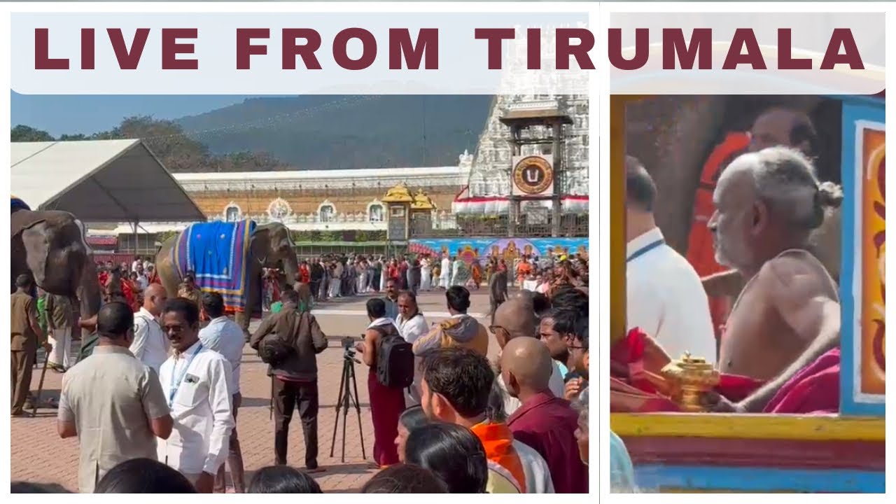 LIVE FROM TIRUMALA TODAY| Special Entry Darshan Today| Tirumala ...