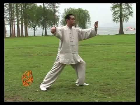 Yang Style Tai Chi 85 Forms. Master Zhao Youbin - YouTube