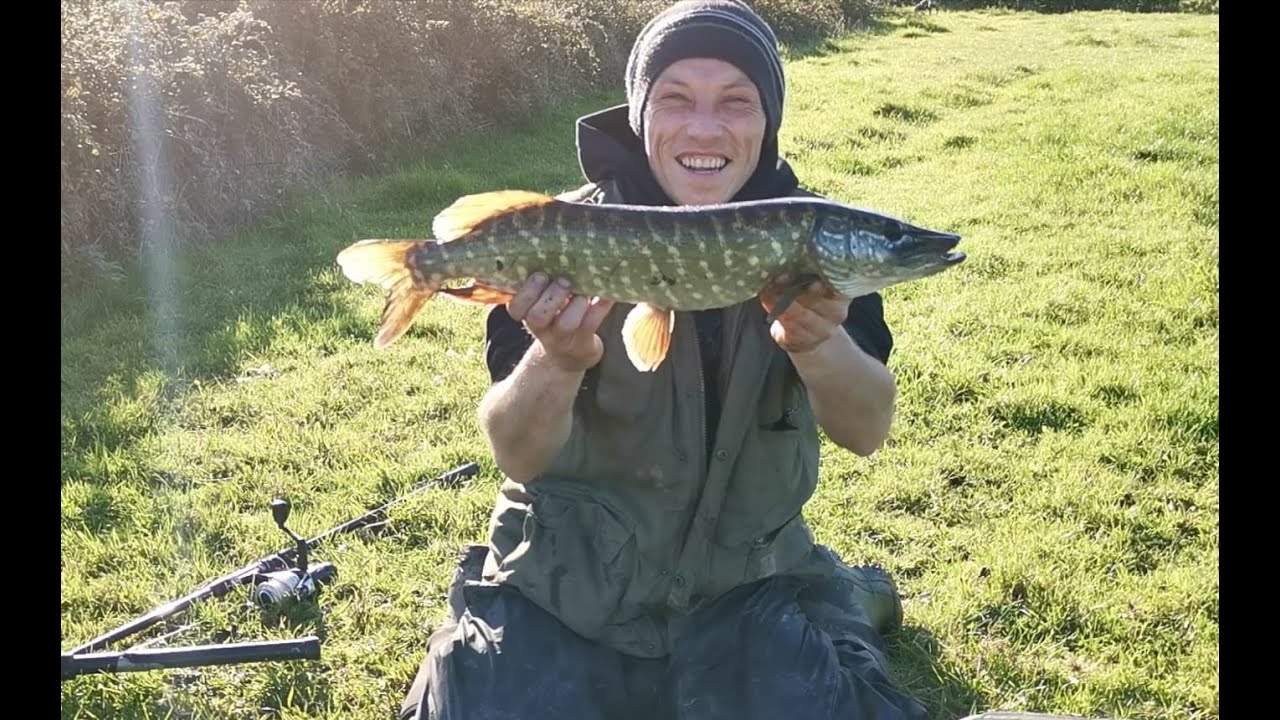 my pike adventures, ditch fishing, - YouTube