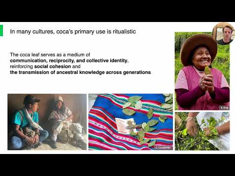 Scientific distinctions between coca and cocaine support policy reform