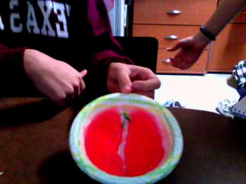 Moses parting the Red Sea of Jell-o - YouTube