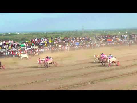 पेडगाव हिंदेसरी सेमी क्र. 3 - YouTube