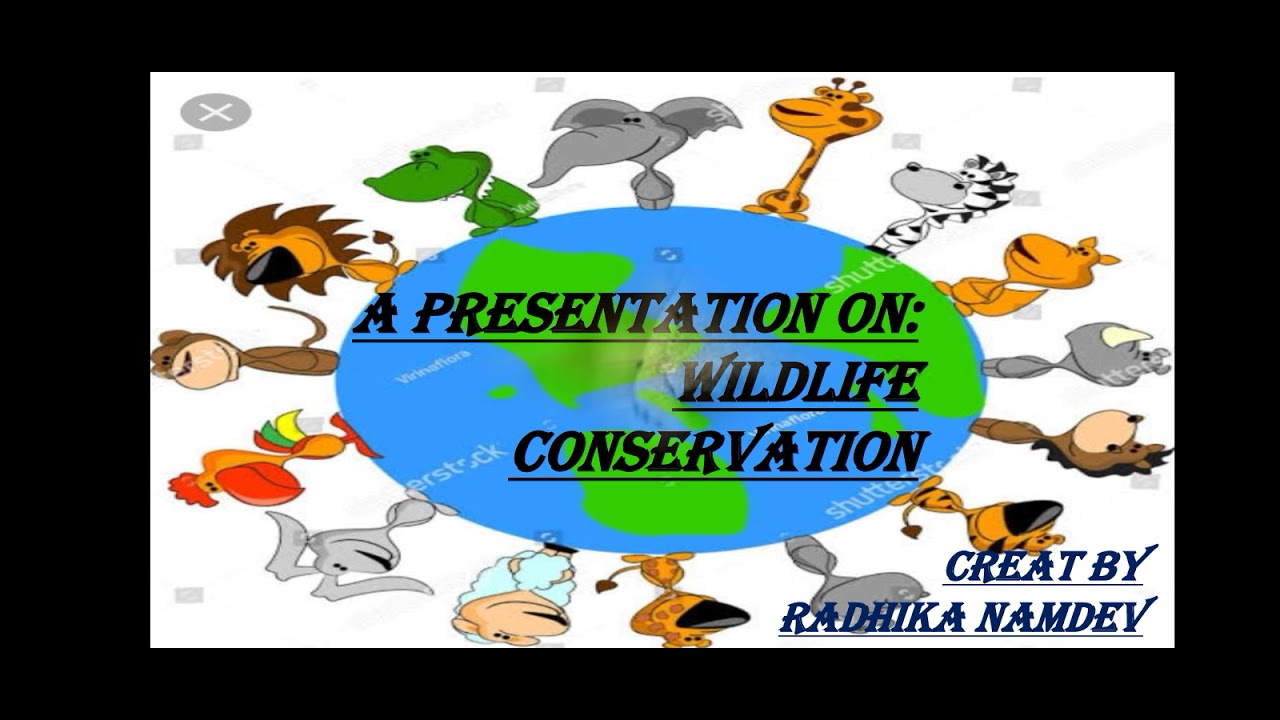 presentation on wildlife conservation,ppt on animals - YouTube