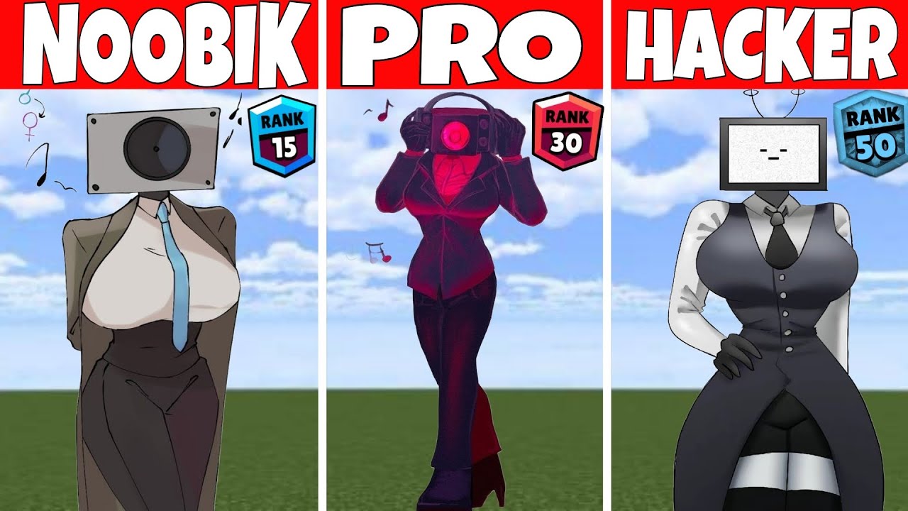 Skibidi Toilet Noob Pro Hacker Youtube