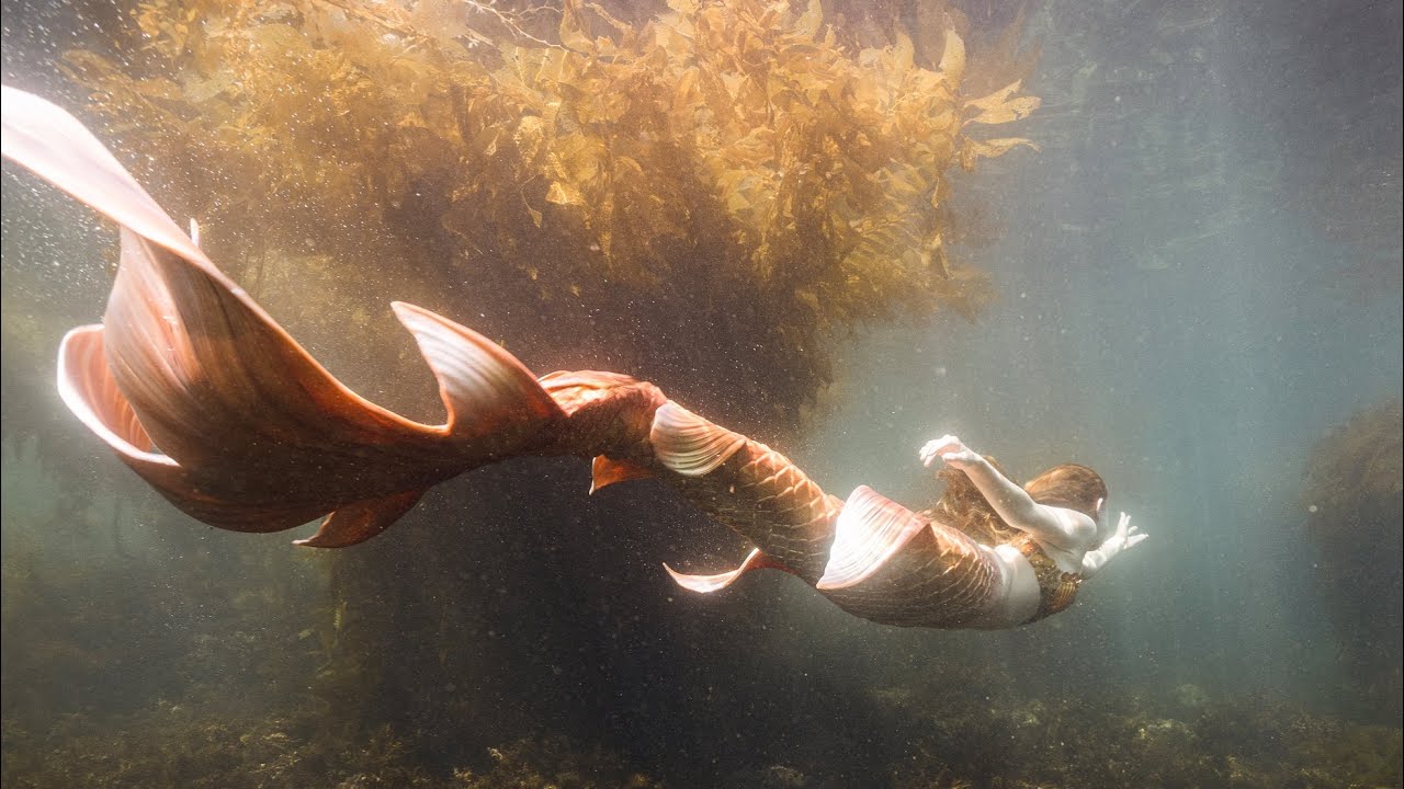 Orange County Mermaid — Renaissance Festival Mermaids - YouTube
