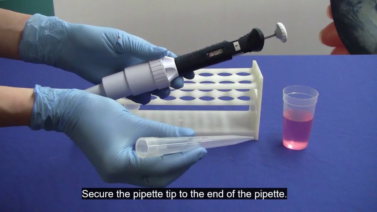 Using a Laboratory Pipette - YouTube
