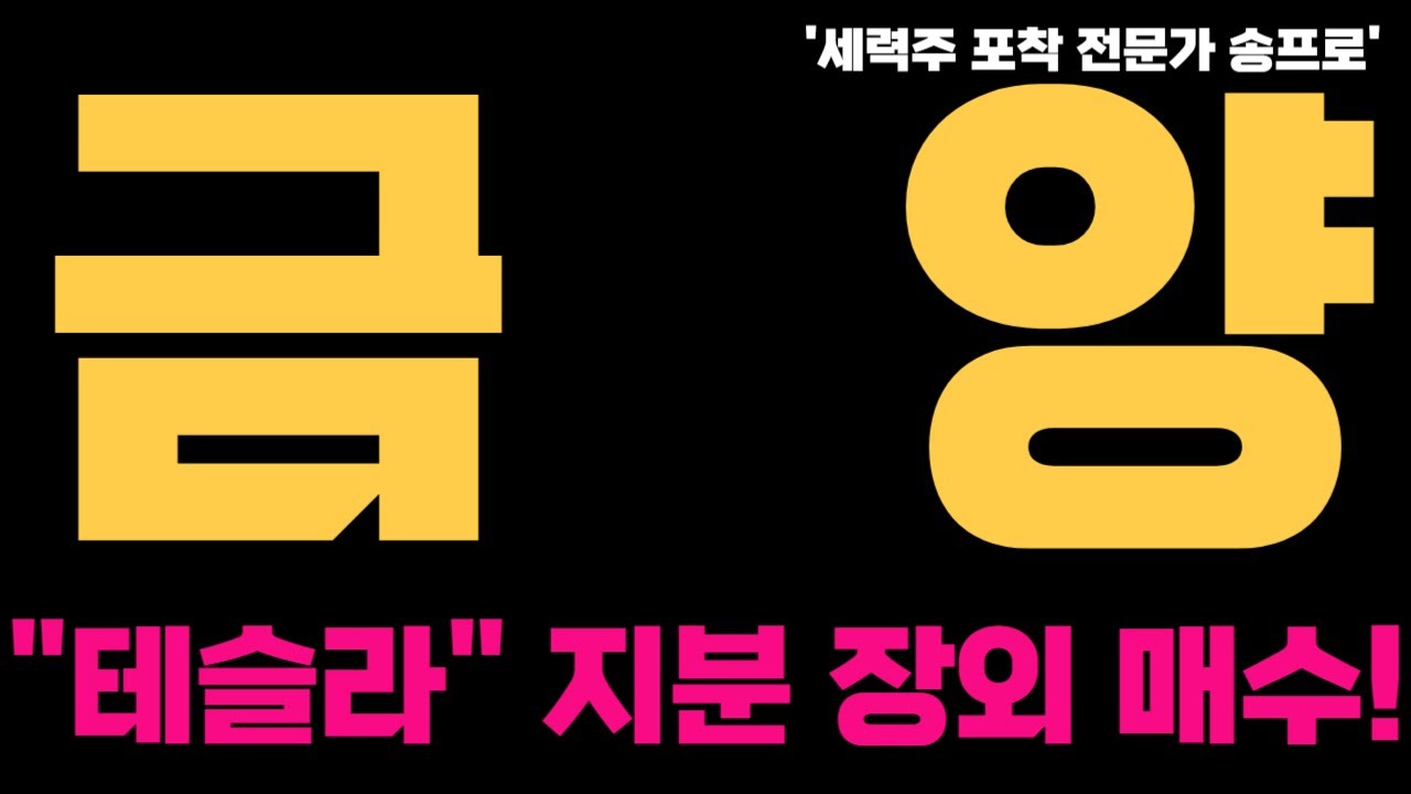 금양 테슬라 지분 장외 매수 6700억 수주 테슬라 추가 계약 실사 준비 2차전지배터리테슬라4695금양주식