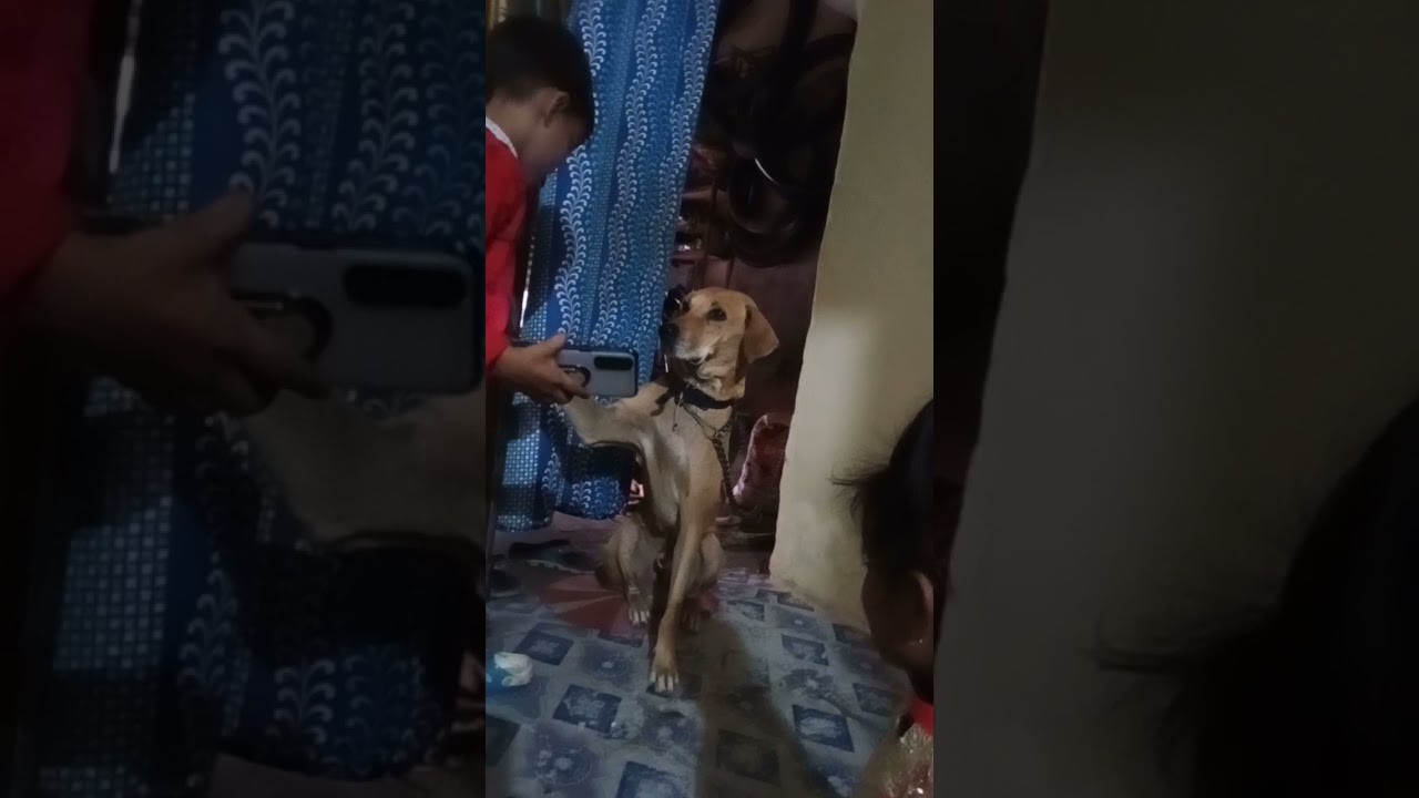 Happy Birthday Rambo - YouTube