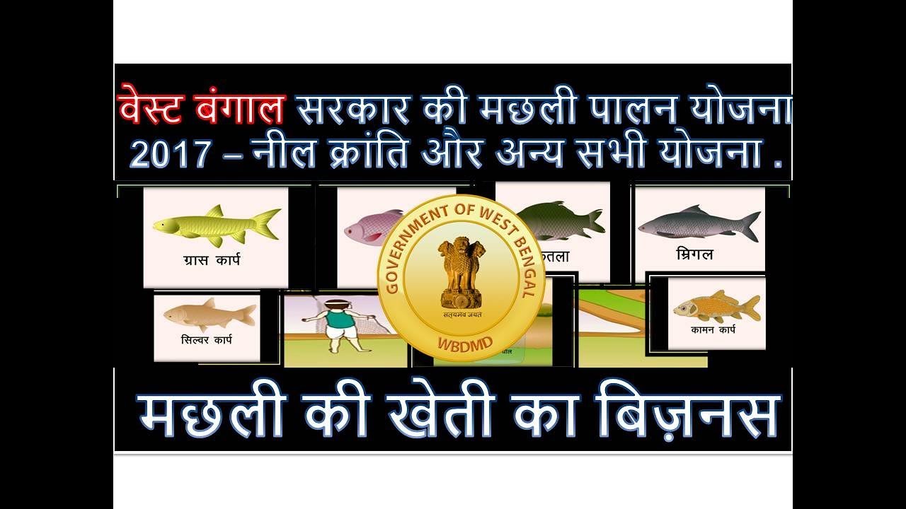 West Bengal Govt. Fish Farming Scheme 2017 - Neel Kranti | Businees ...