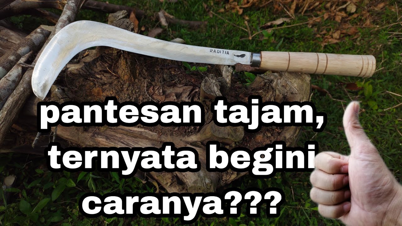 bikin arit atau sabit semakin tajam,arit rumput setajam golok,arit ...