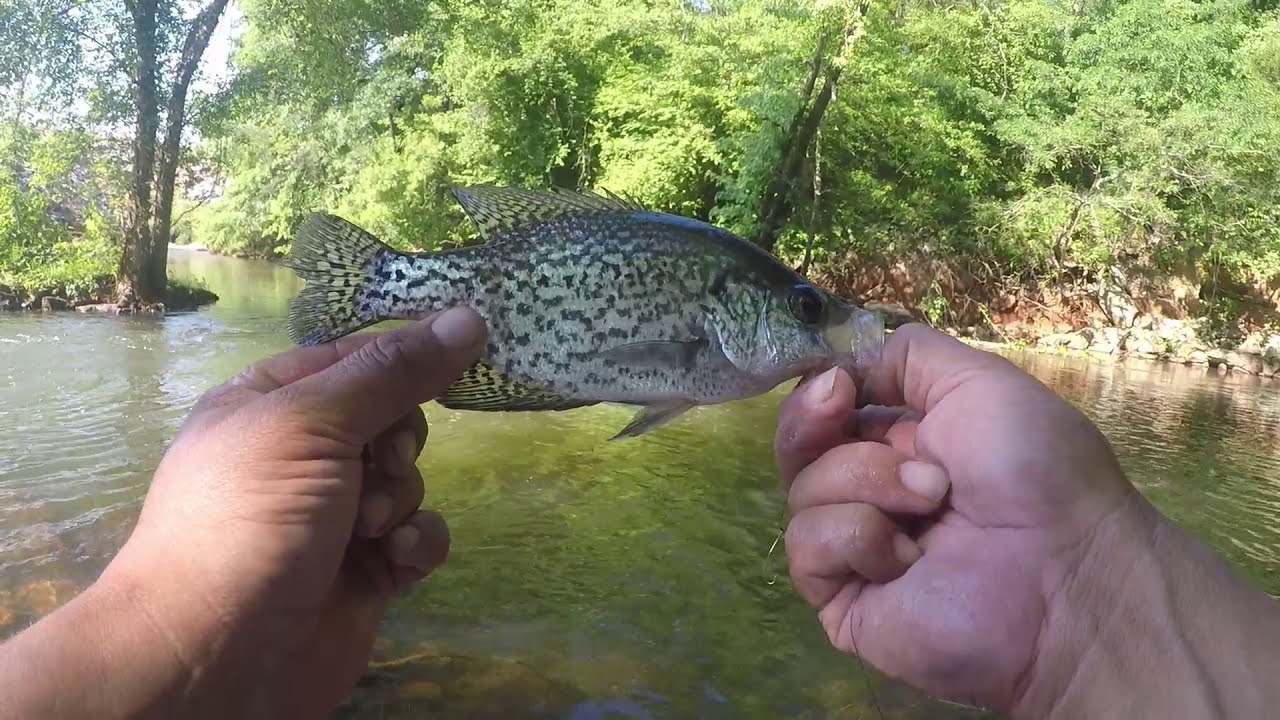 Cane Pole crappie Fishing at Tiger River - YouTube