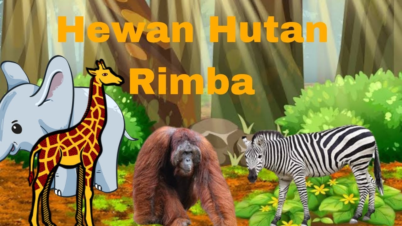 Hewan Hutan Rimba|mengenal hewan Rimba - YouTube