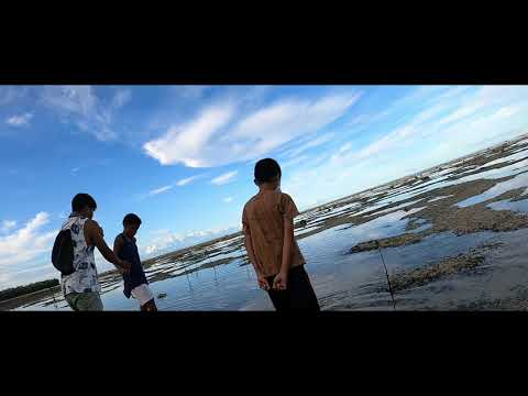 FINDING BALISA(SEA SHELL) - YouTube