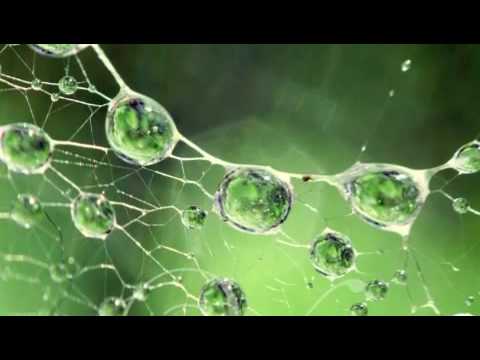 Yukie Nishimura - A letter