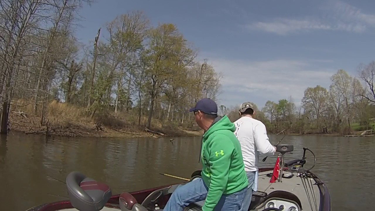 Mason's Custom Rods 6lbs 5oz - YouTube