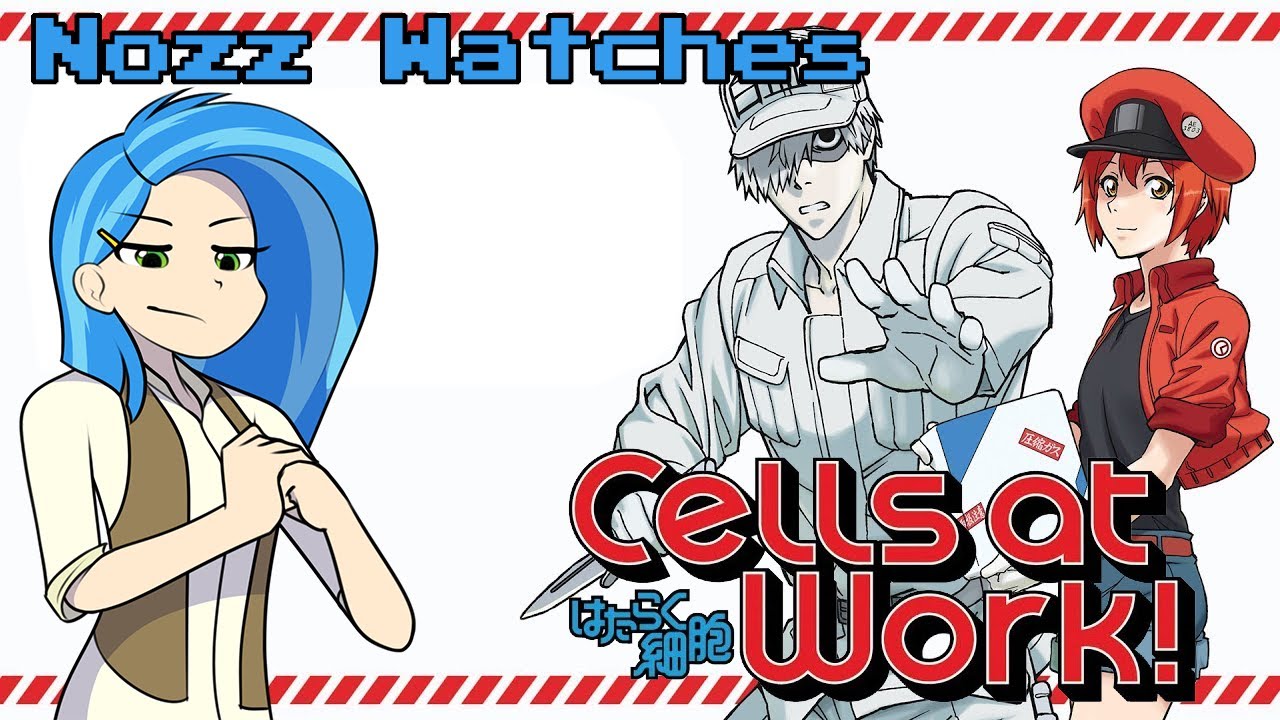 Nozz Watches Cells at Work [Episode 2] - YouTube